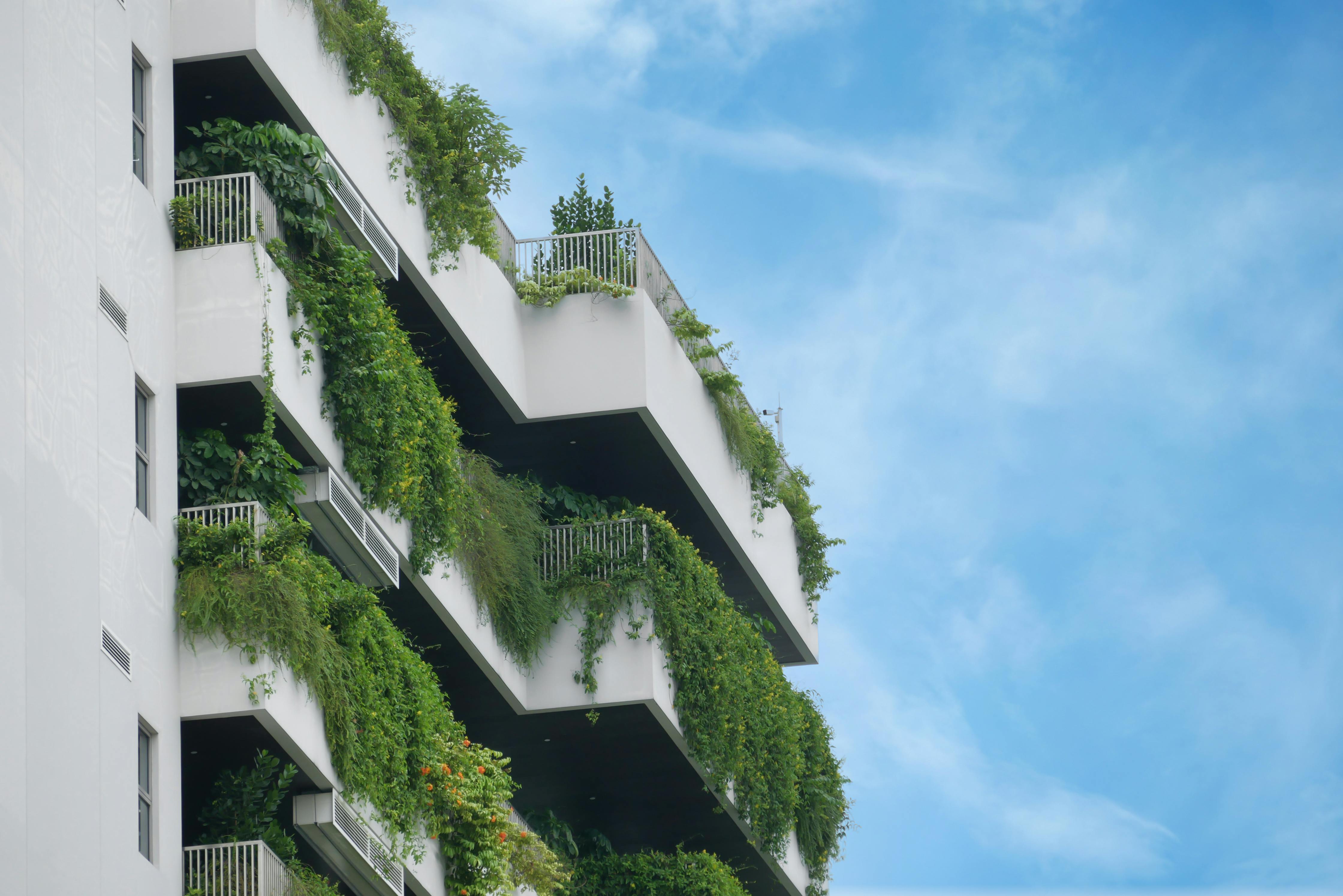 The Evolution of Biophilic Design: Past, Present, and Future – Naturalist
